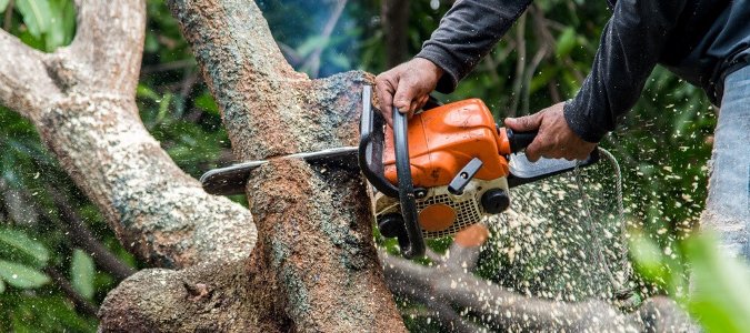 chainsaw-tree-small | AP Trees (Kent) Ltd.